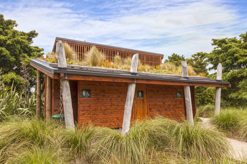 Unique Roofing Options: What Is Vegetative Roofing?